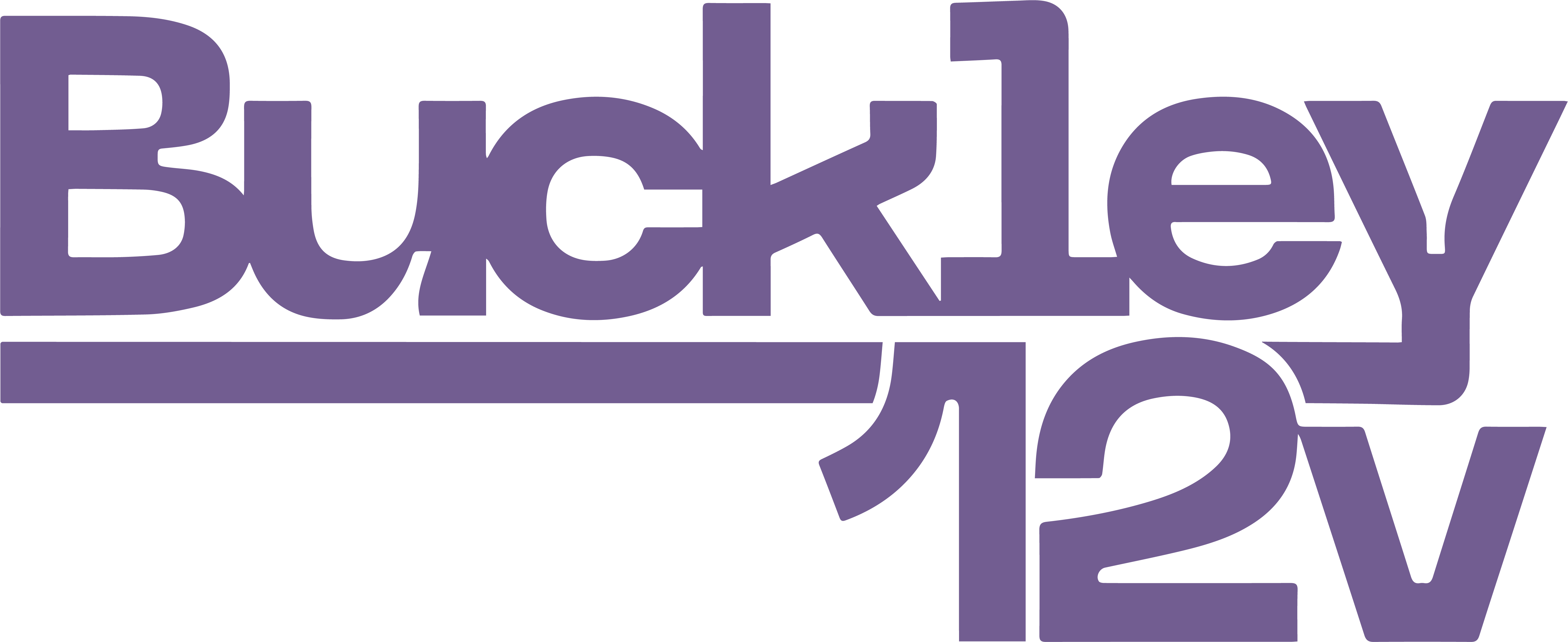 Buckley's 12V – Buckley's 12v